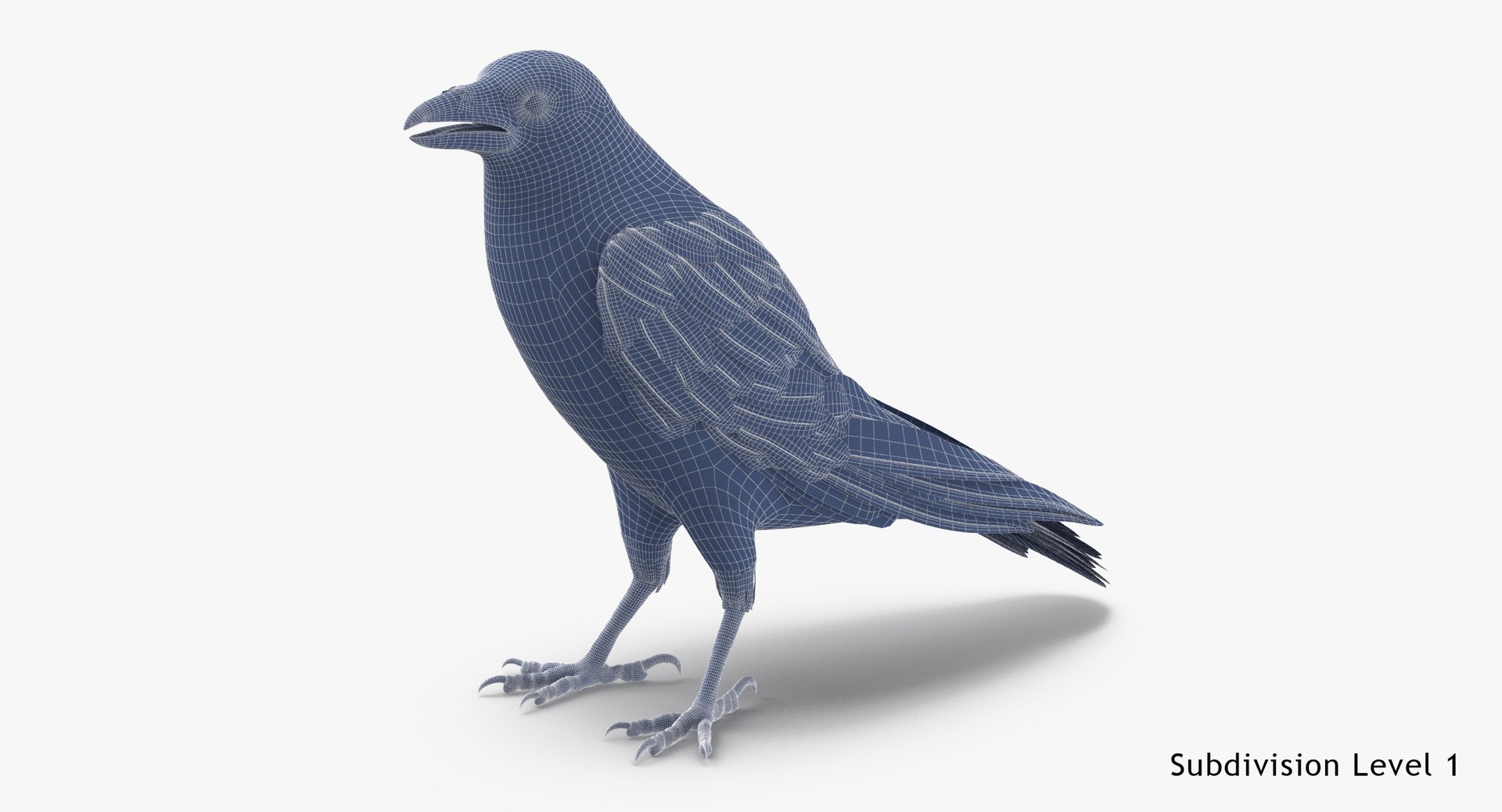 crow 01 3d model