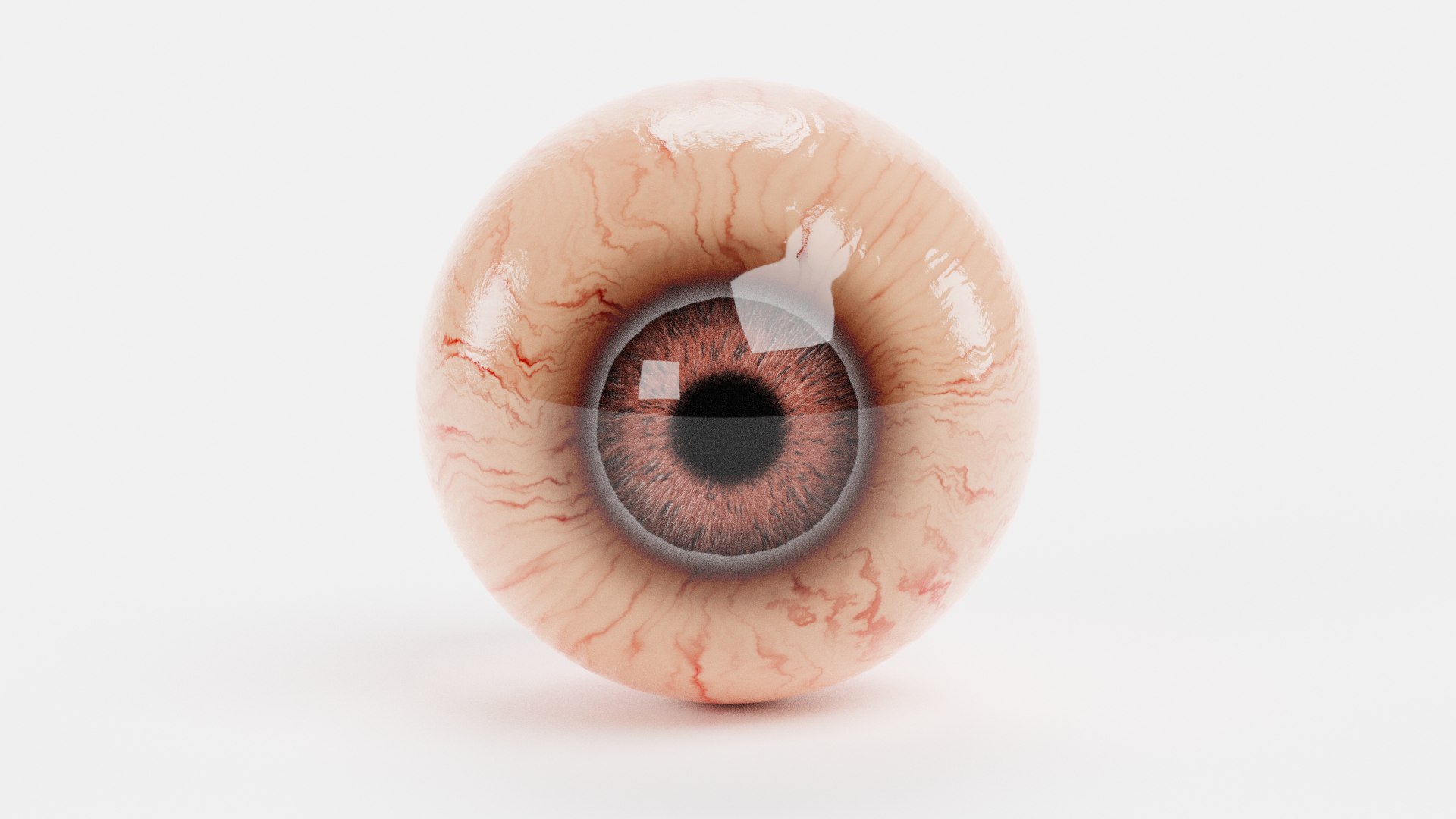 Animal Eyeball Rhinoceros 3D Model - TurboSquid 1625149