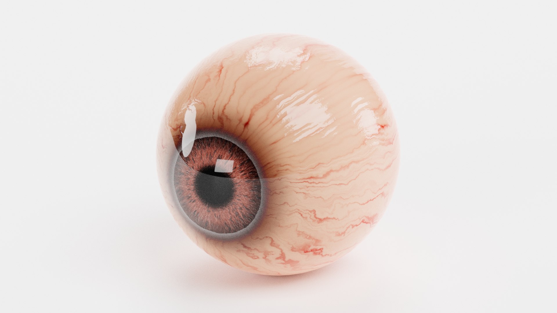 Animal Eyeball Rhinoceros 3D Model - TurboSquid 1625149