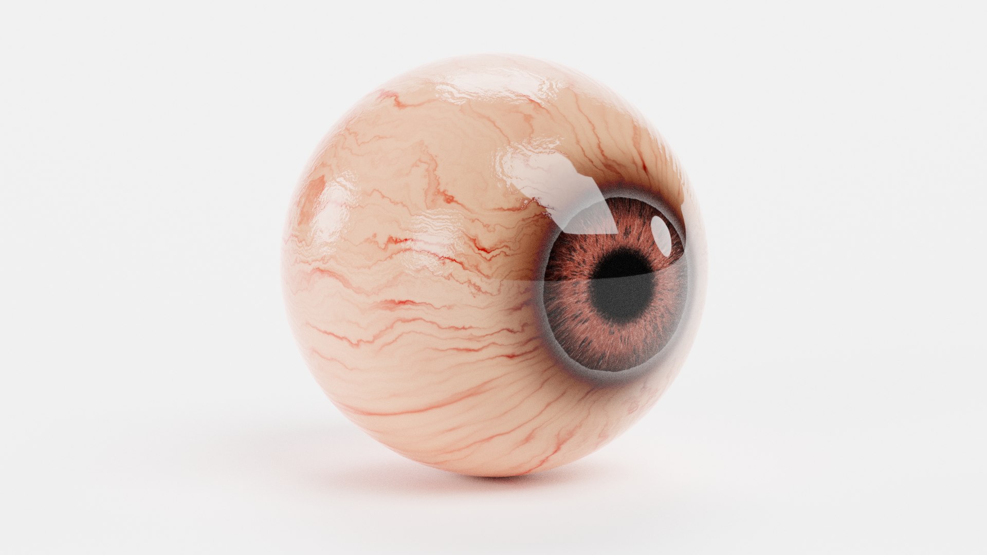 Animal Eyeball Rhinoceros 3D Model - TurboSquid 1625149