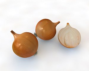 Yellow Onion 3D Models for Download | TurboSquid