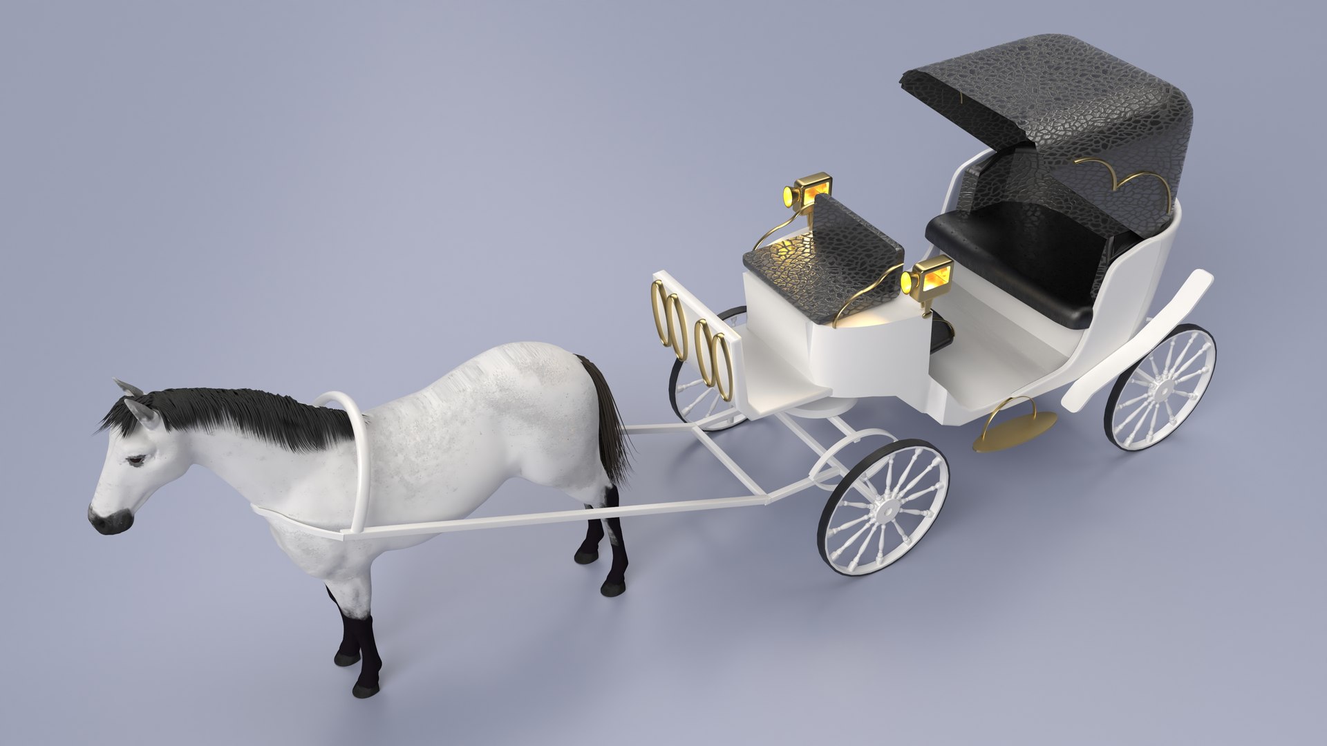 Coach 3D Model - TurboSquid 1493087