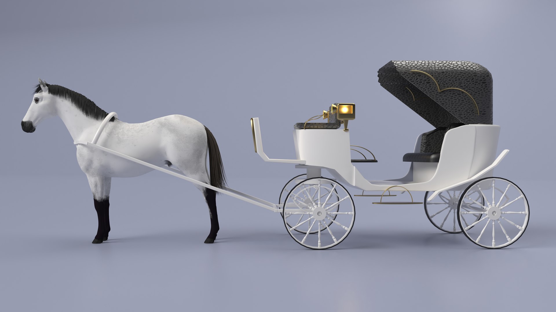 Coach 3D Model - TurboSquid 1493087