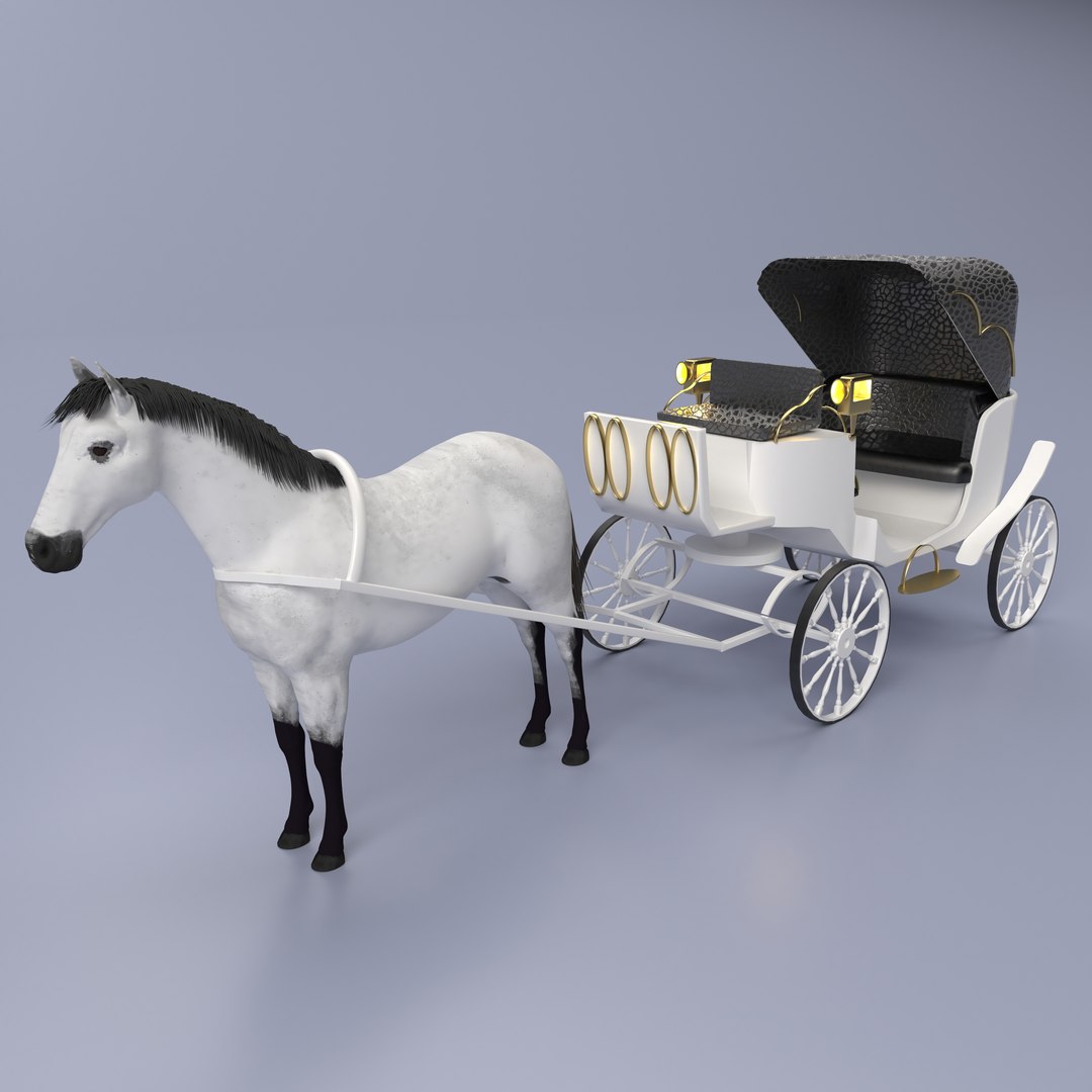 Coach 3D Model - TurboSquid 1493087