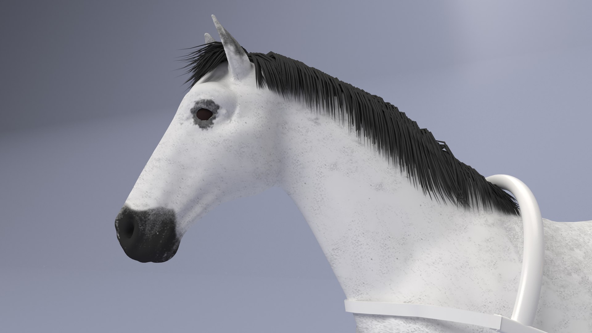 Coach 3D Model - TurboSquid 1493087