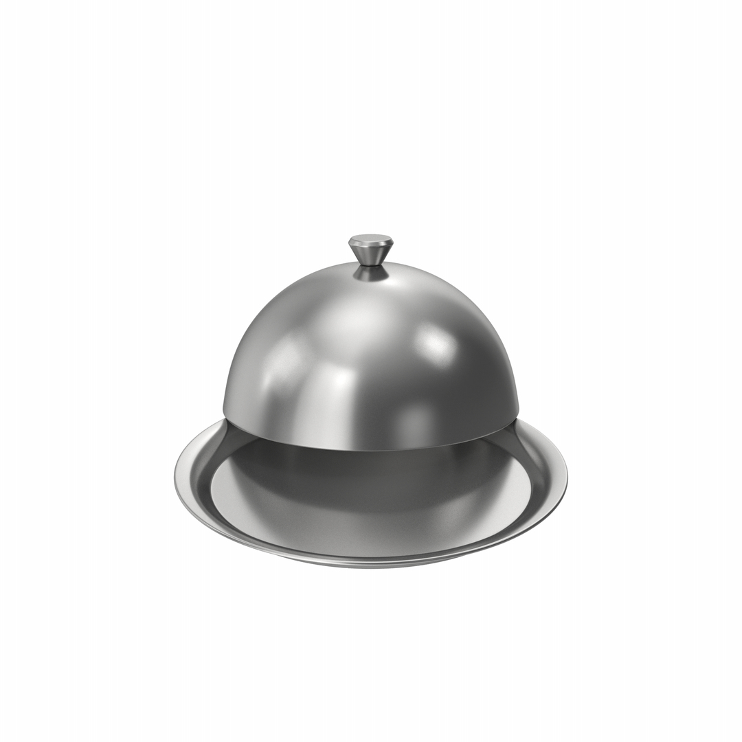 Steel Serving Tray Dome 3D Model - TurboSquid 2168474