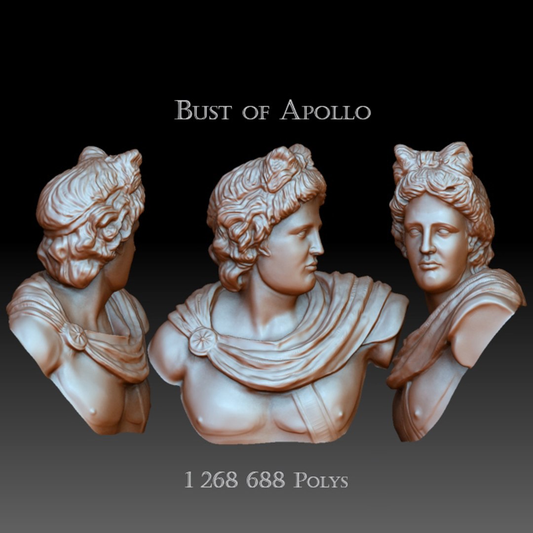 Max Bust Apollo