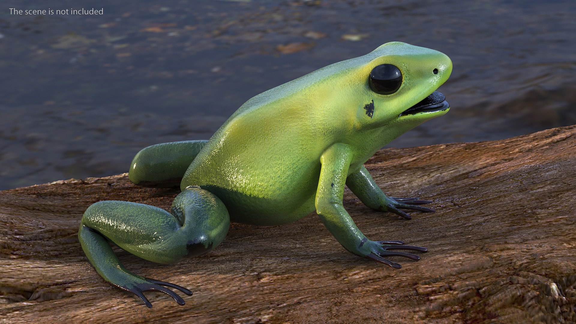 Golden Poison Frog Green Morph 3D - TurboSquid 2185689