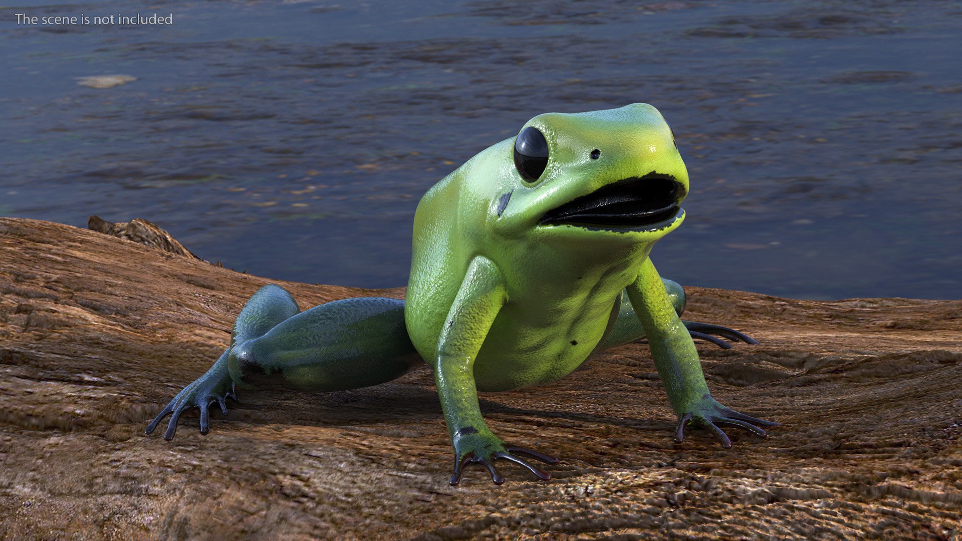 Golden Poison Frog Green Morph 3D - TurboSquid 2185689