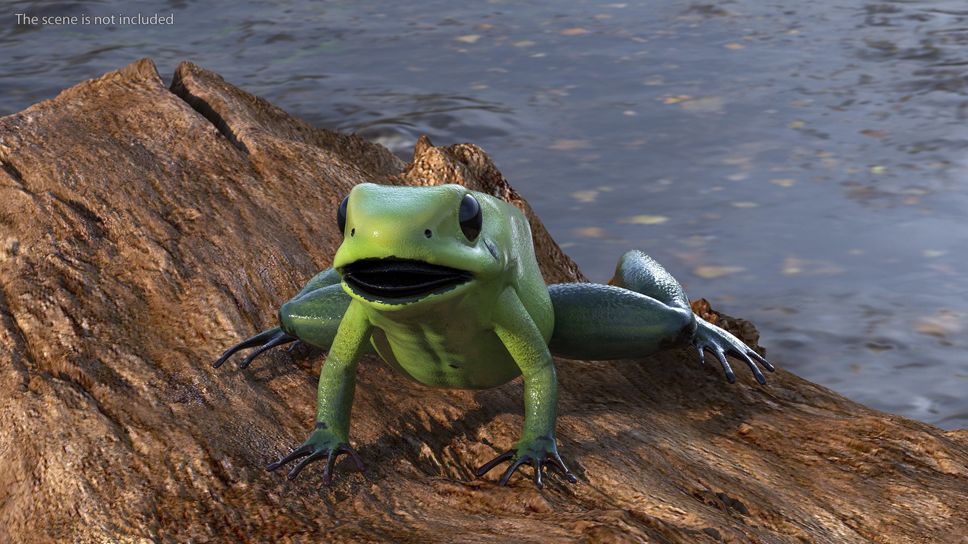 Golden Poison Frog Green Morph 3D - TurboSquid 2185689