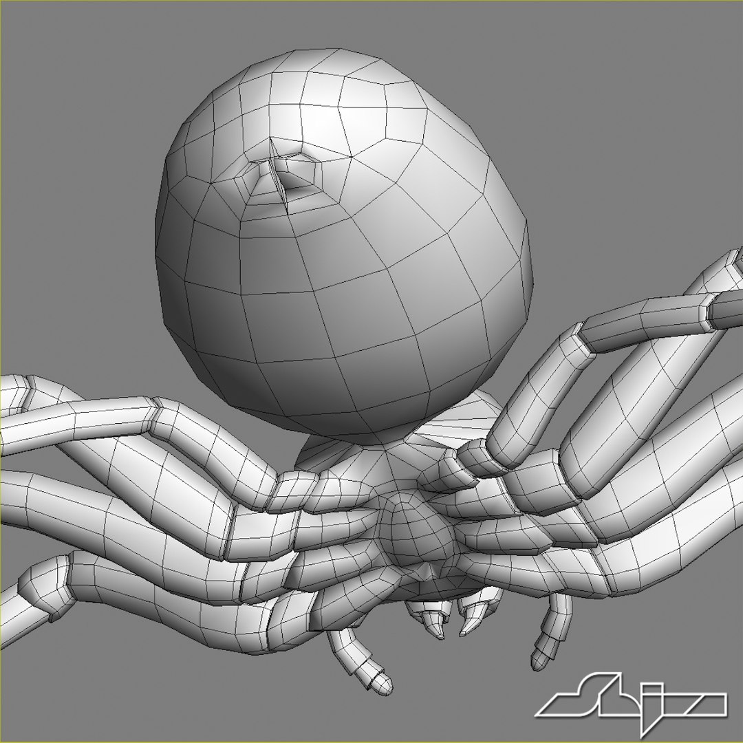 3d Model Spider 2
