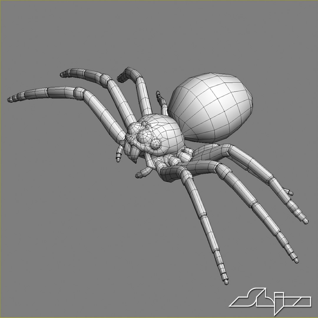 3d Model Spider 2
