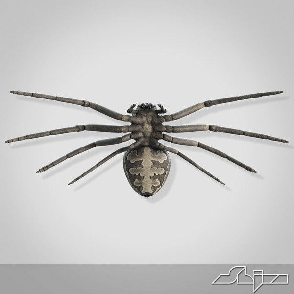 3d model spider 2