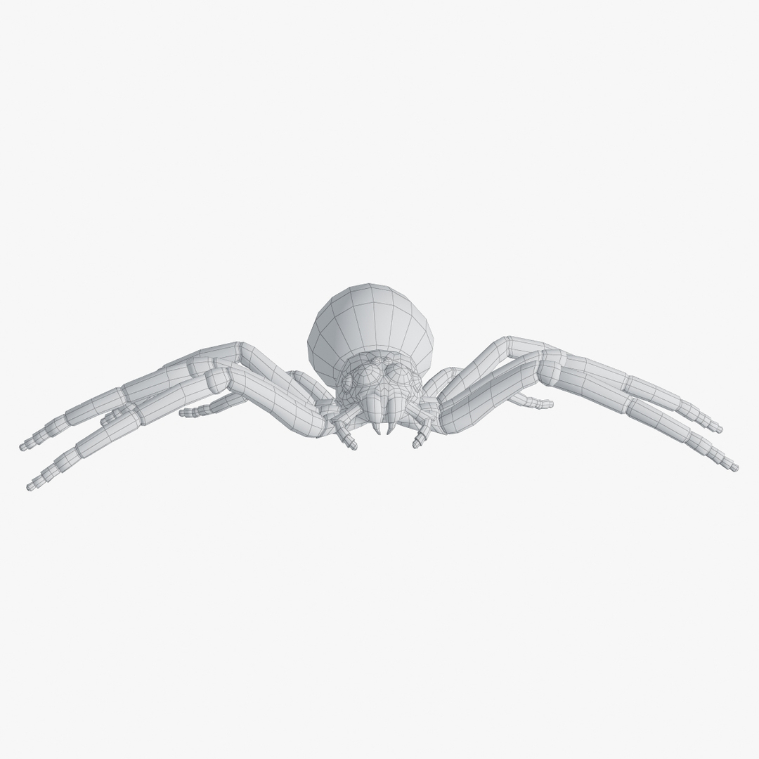 3d Model Spider 2