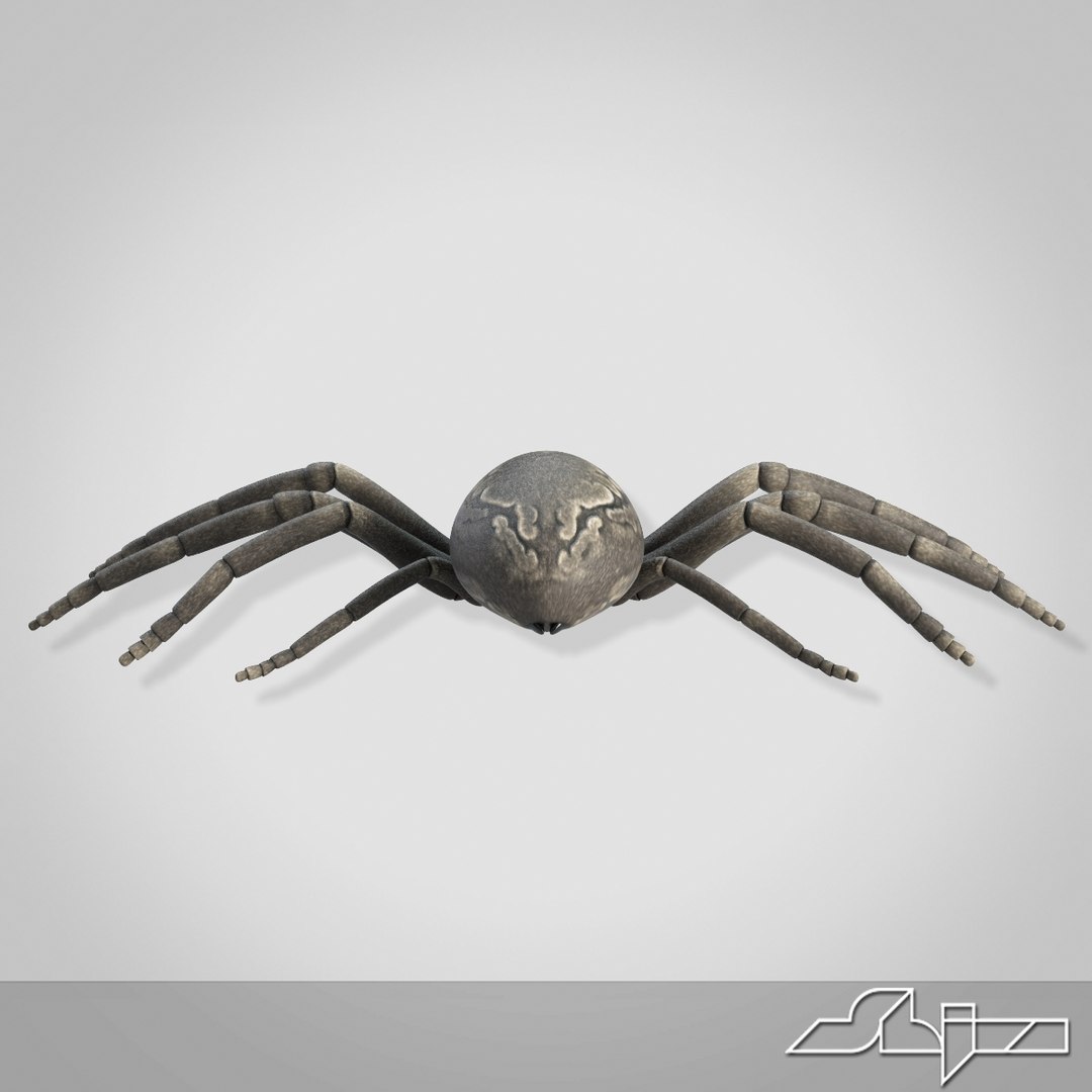 3d Model Spider 2