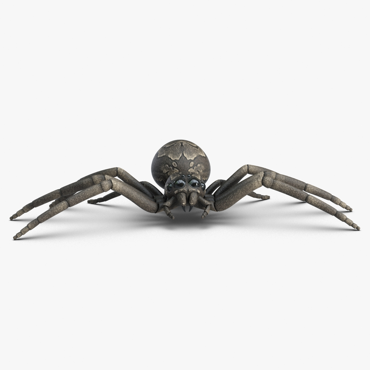3d model spider 2