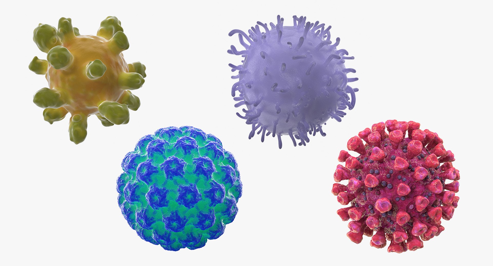 Human Viruses 2 Virus 3D Model - TurboSquid 1525295