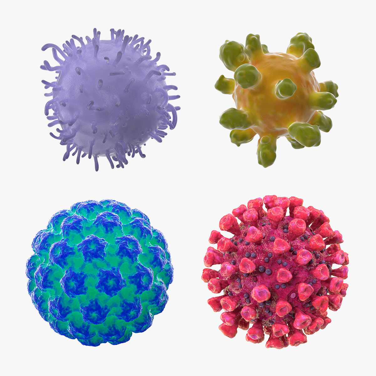 Human viruses 2 virus 3D model - TurboSquid 1525295