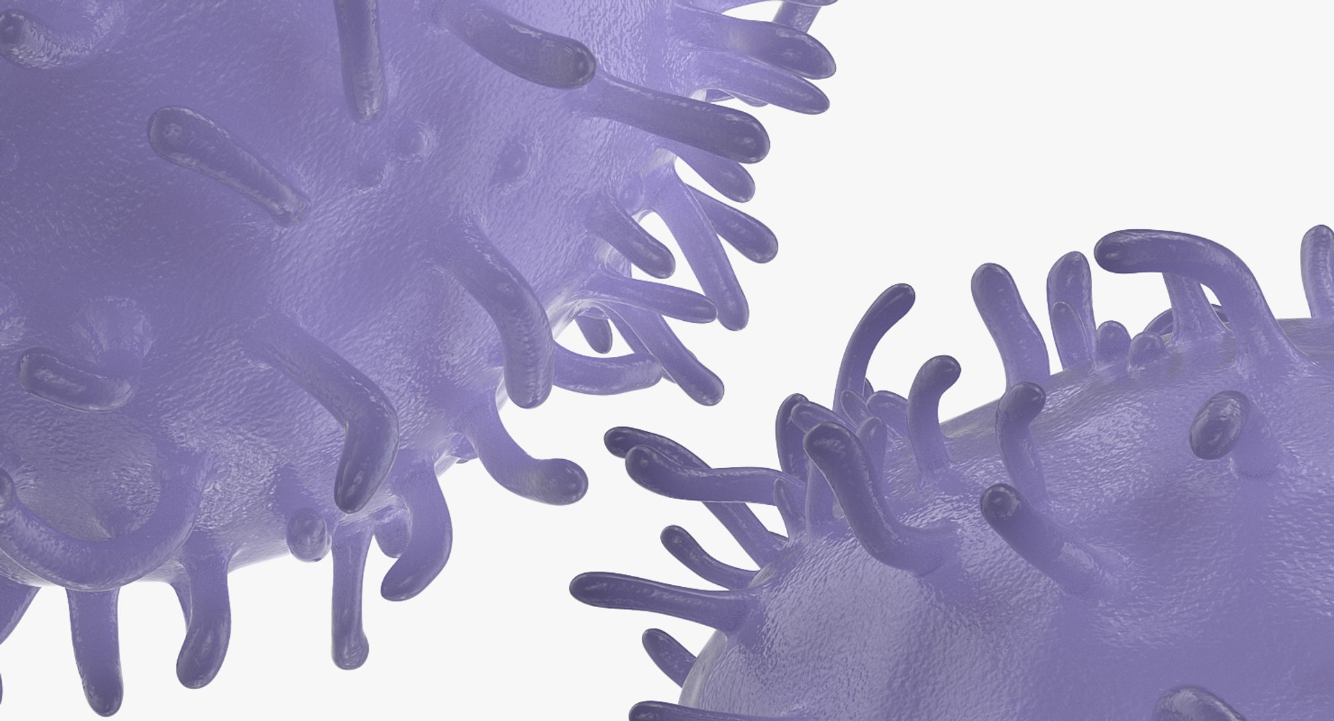 Human viruses 2 virus 3D model - TurboSquid 1525295