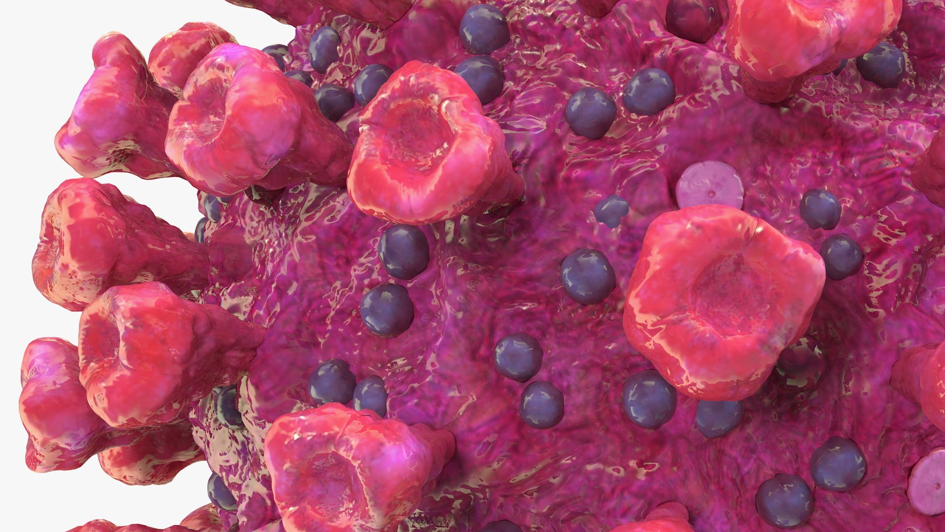 Human viruses 2 virus 3D model - TurboSquid 1525295