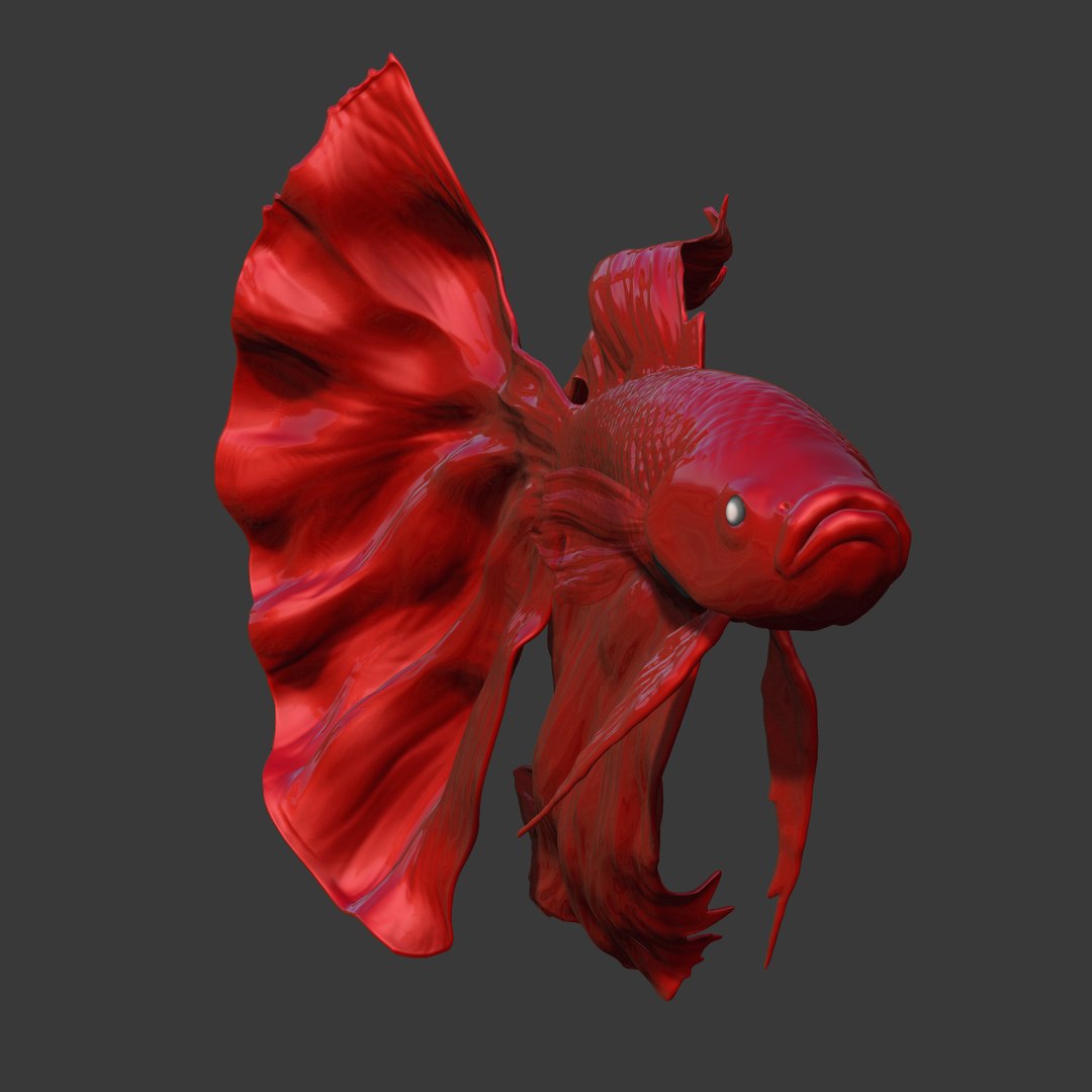 3ds Siamese Fighting Fish
