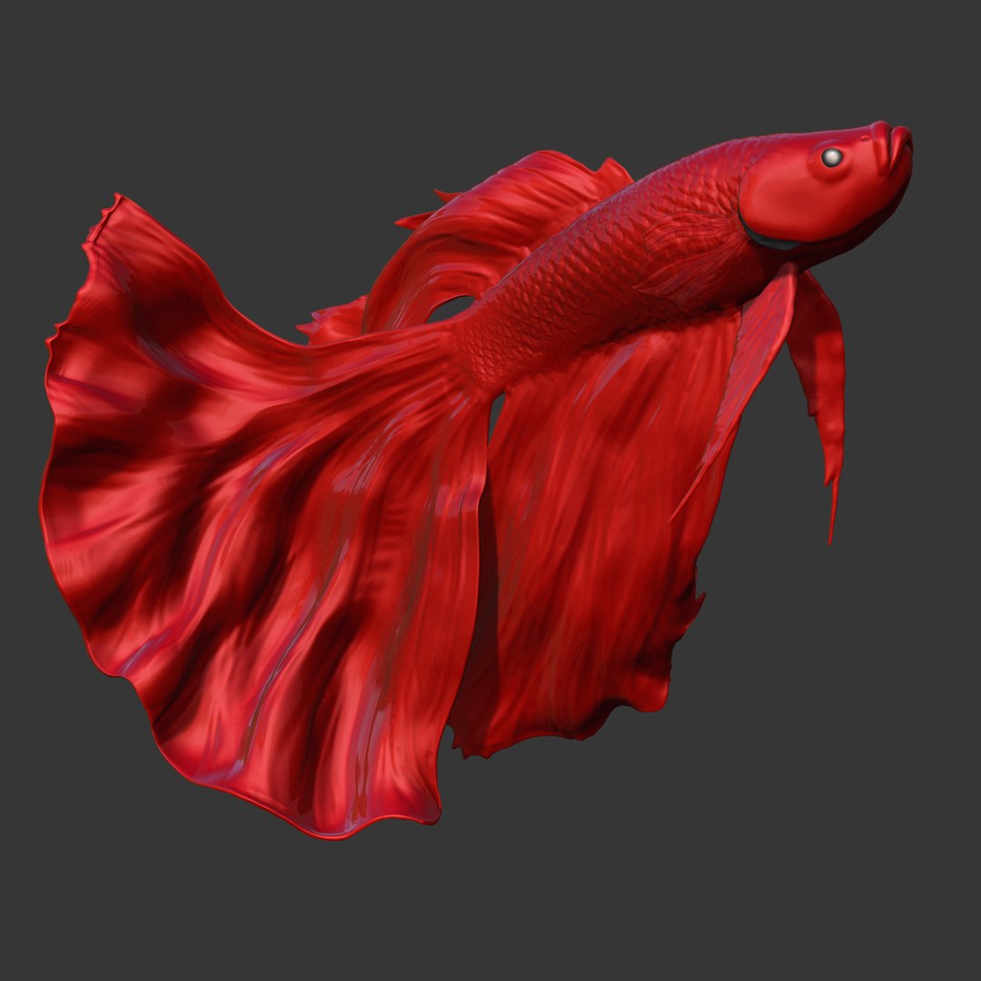3ds Siamese Fighting Fish