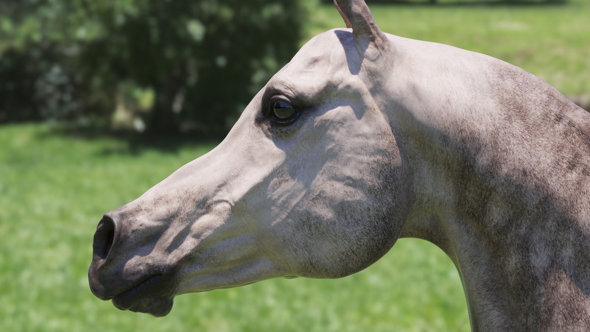 3D Stallion Grey - TurboSquid 1711212