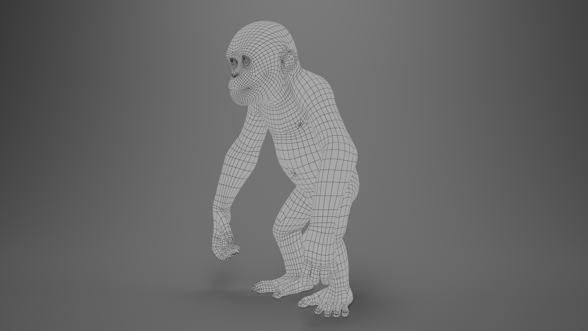 Ape 3D model - TurboSquid 1733147