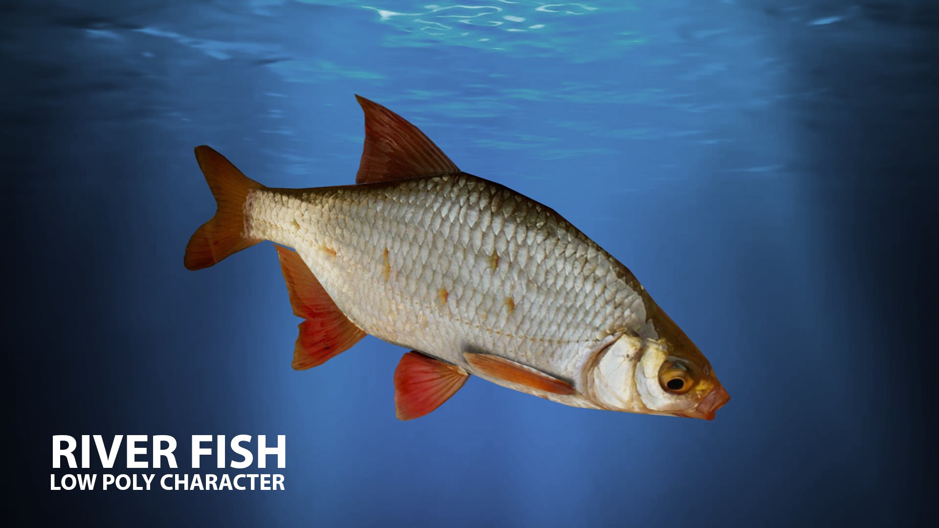 River Fish Animation 3D - TurboSquid 1412533