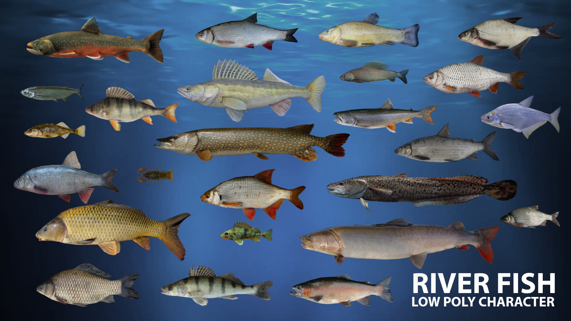 River Fish Animation 3D - TurboSquid 1412533