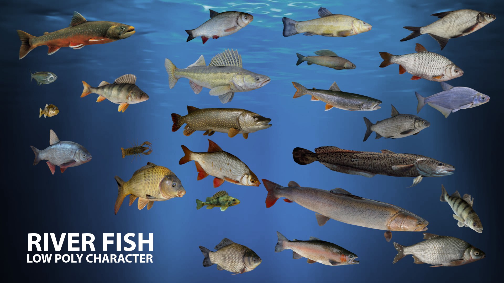 River Fish Animation 3D - TurboSquid 1412533