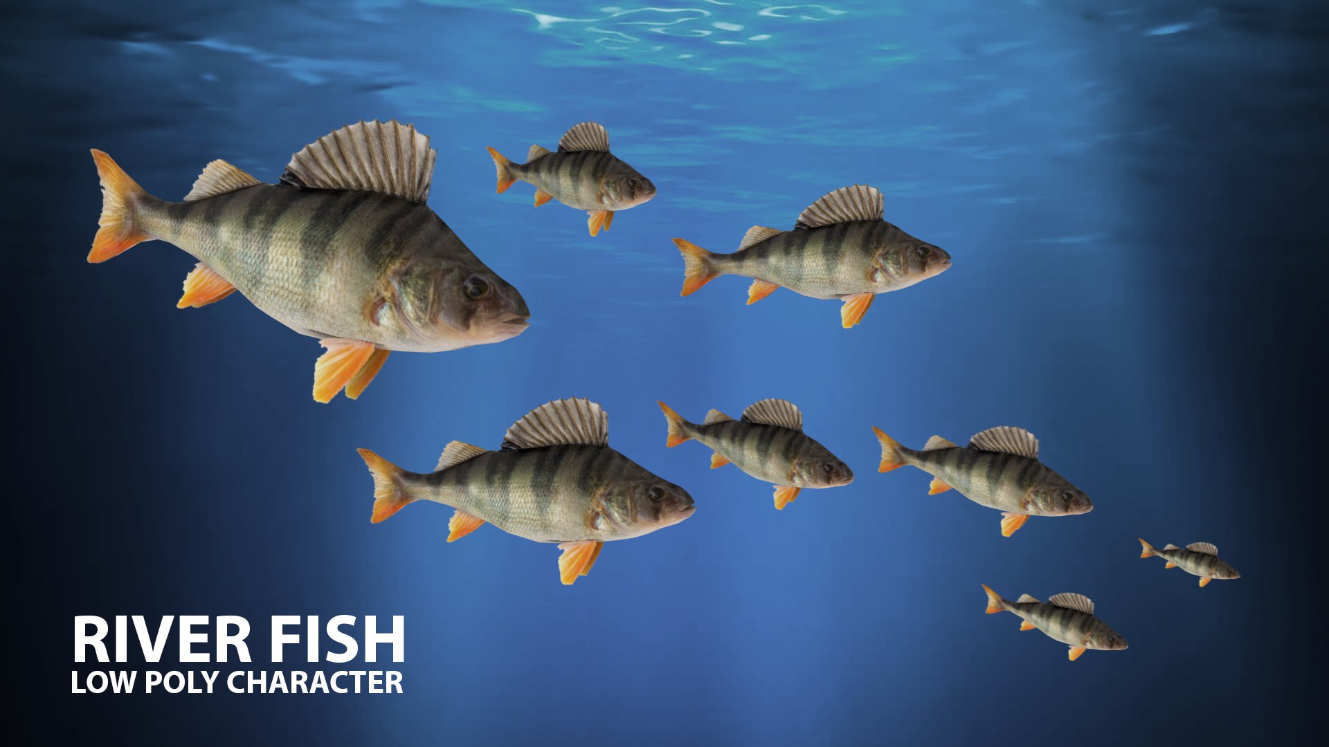 River Fish Animation 3D - TurboSquid 1412533