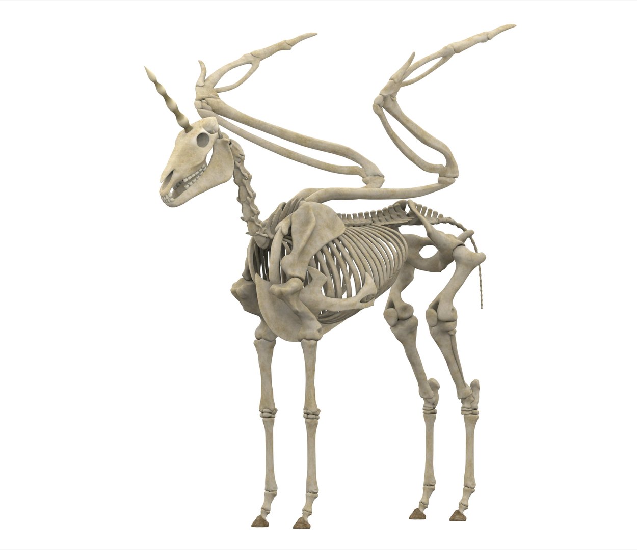3D Alicorn Skeleton - TurboSquid 1523805