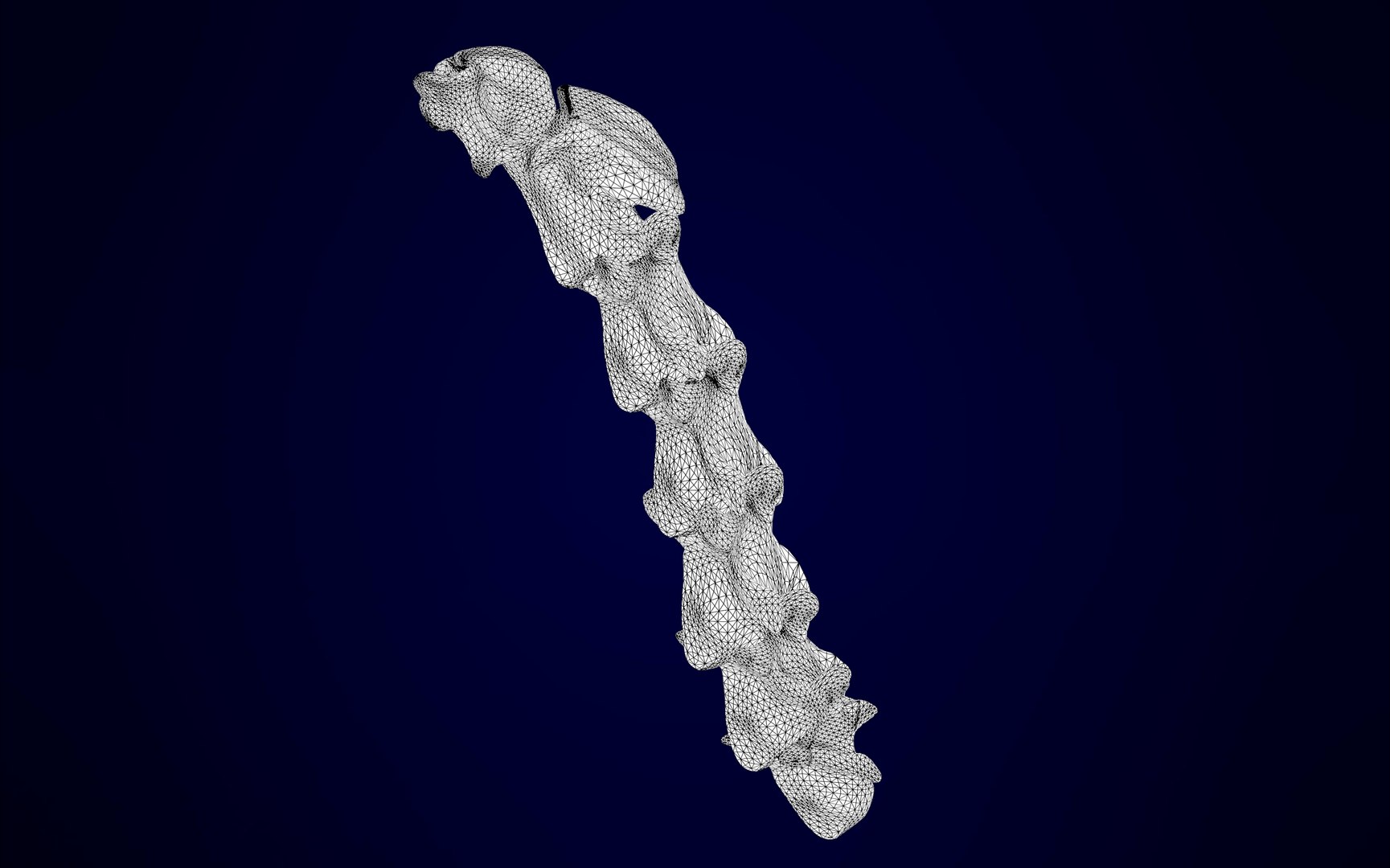 3D Alicorn Skeleton - TurboSquid 1523805