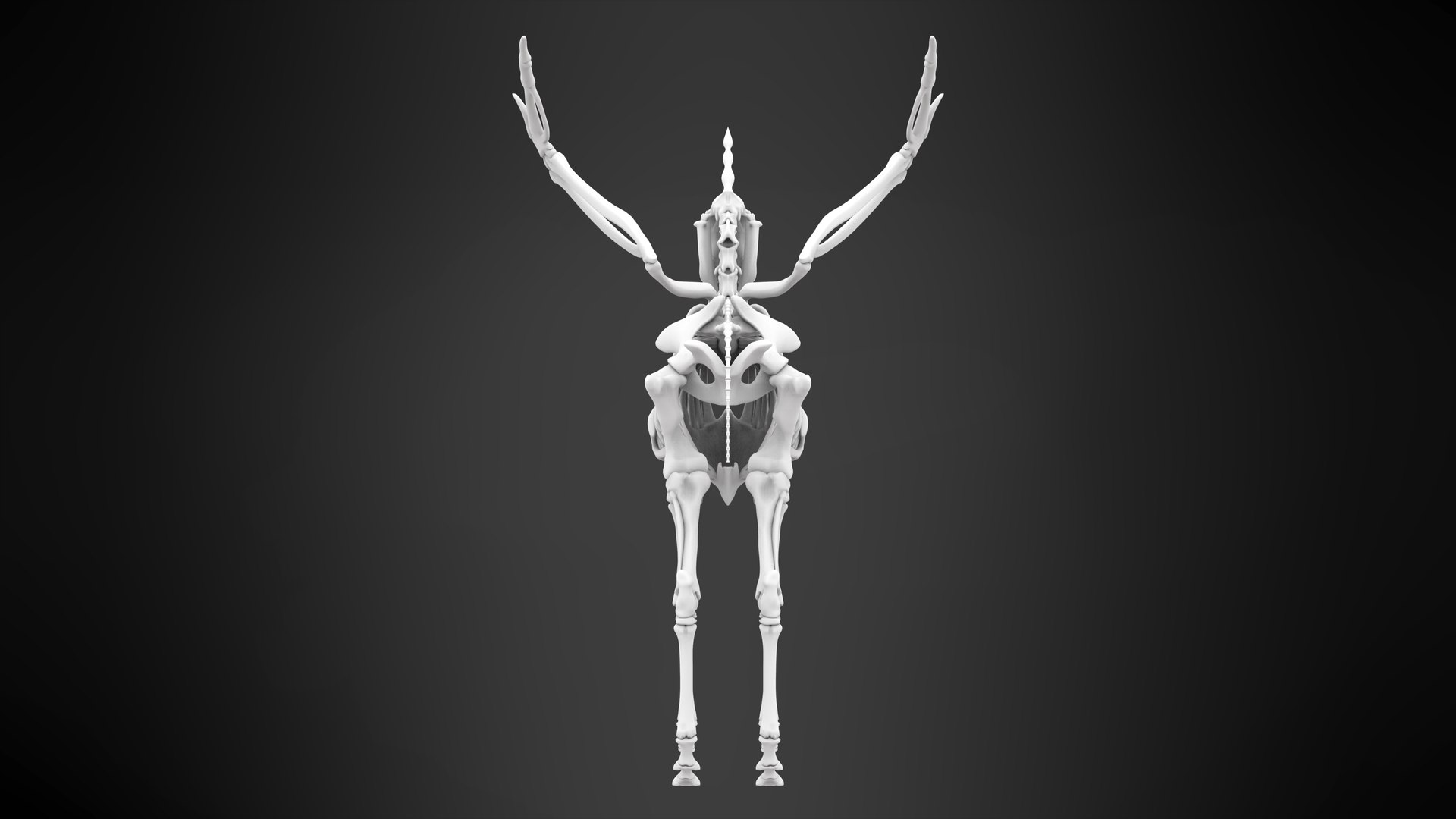 3D Alicorn Skeleton - TurboSquid 1523805