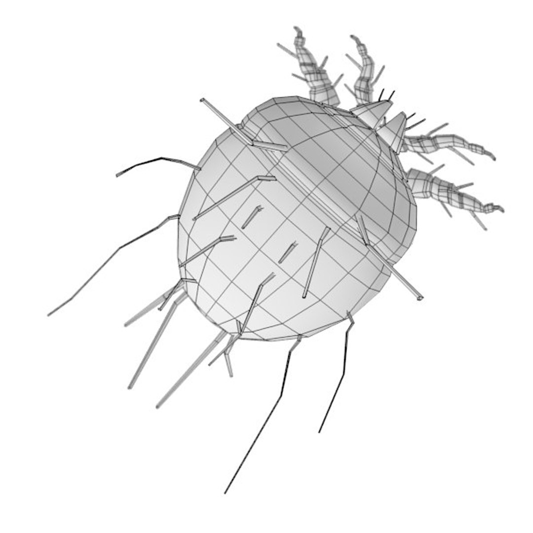 3d Model Mites