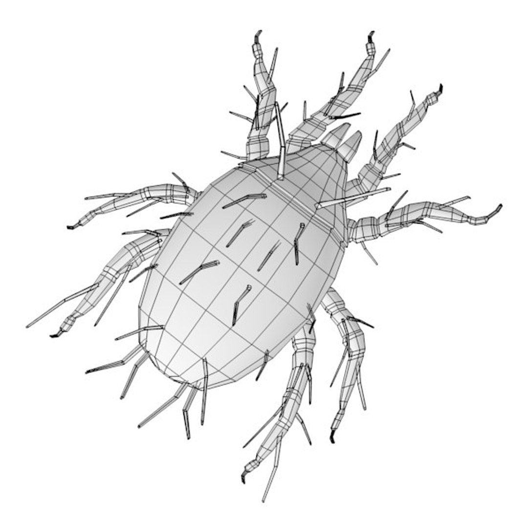 3d Model Mites