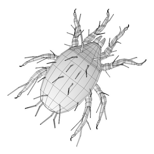 3d model mites