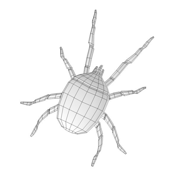 3d model mites