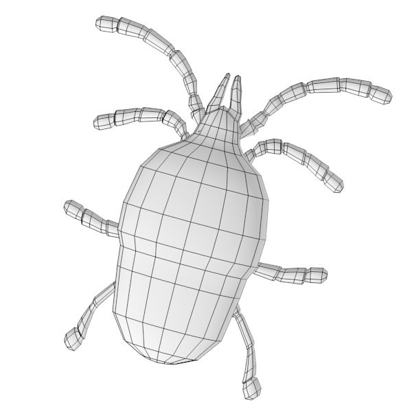 3d model mites