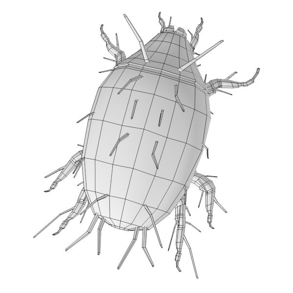 3d model mites