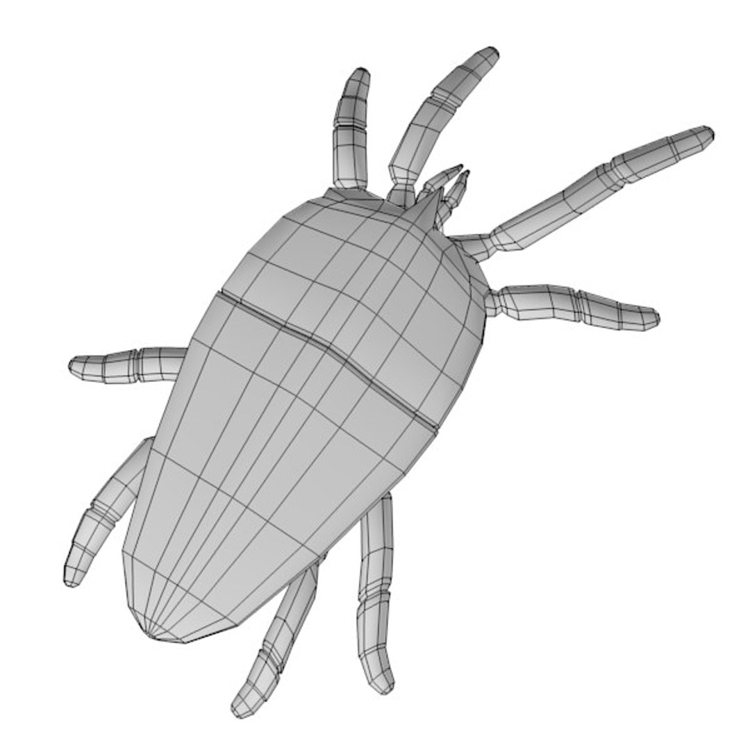 3d Model Mites