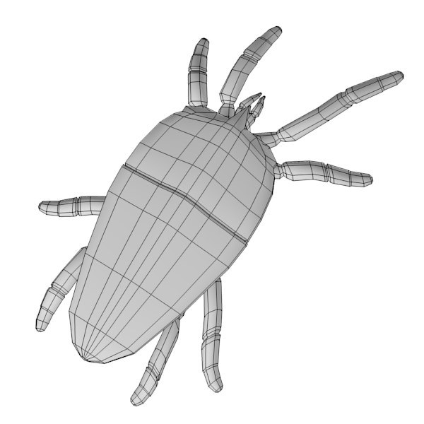 3d model mites