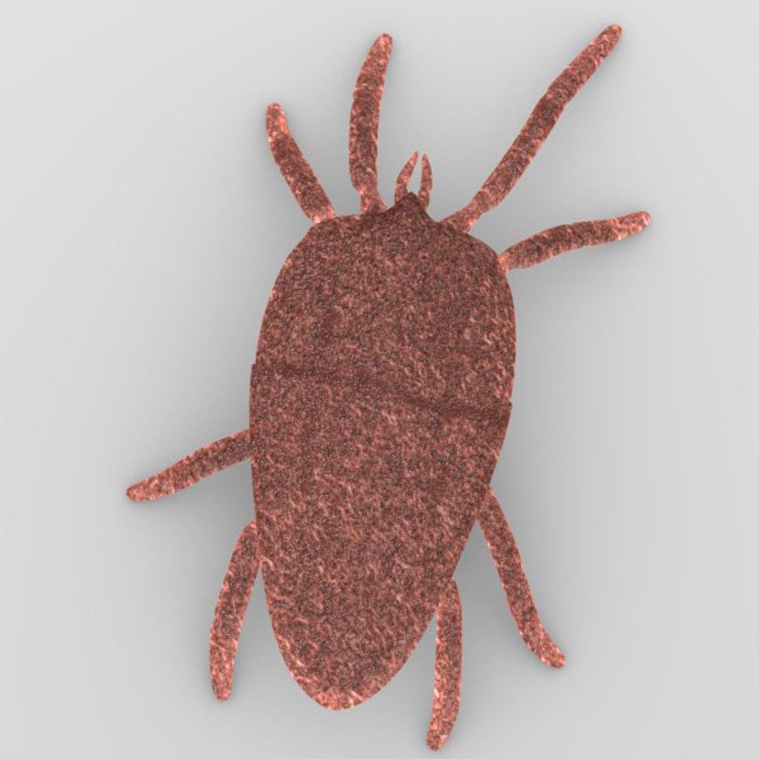 3d Model Mites