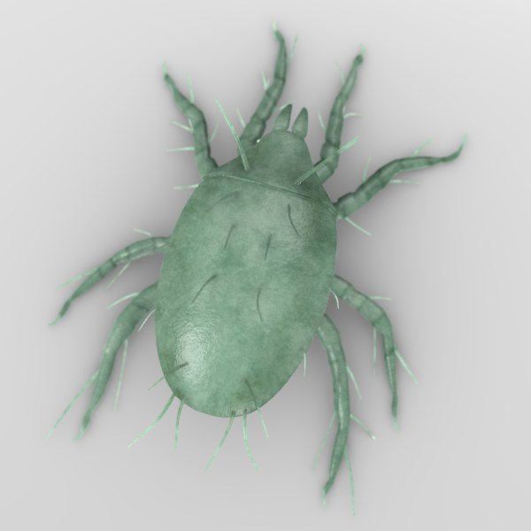 3d model mites