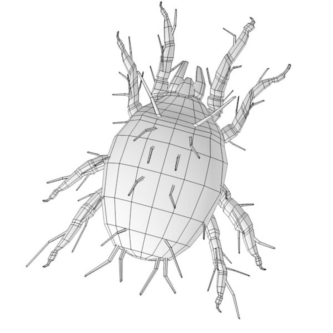 3d Model Mites