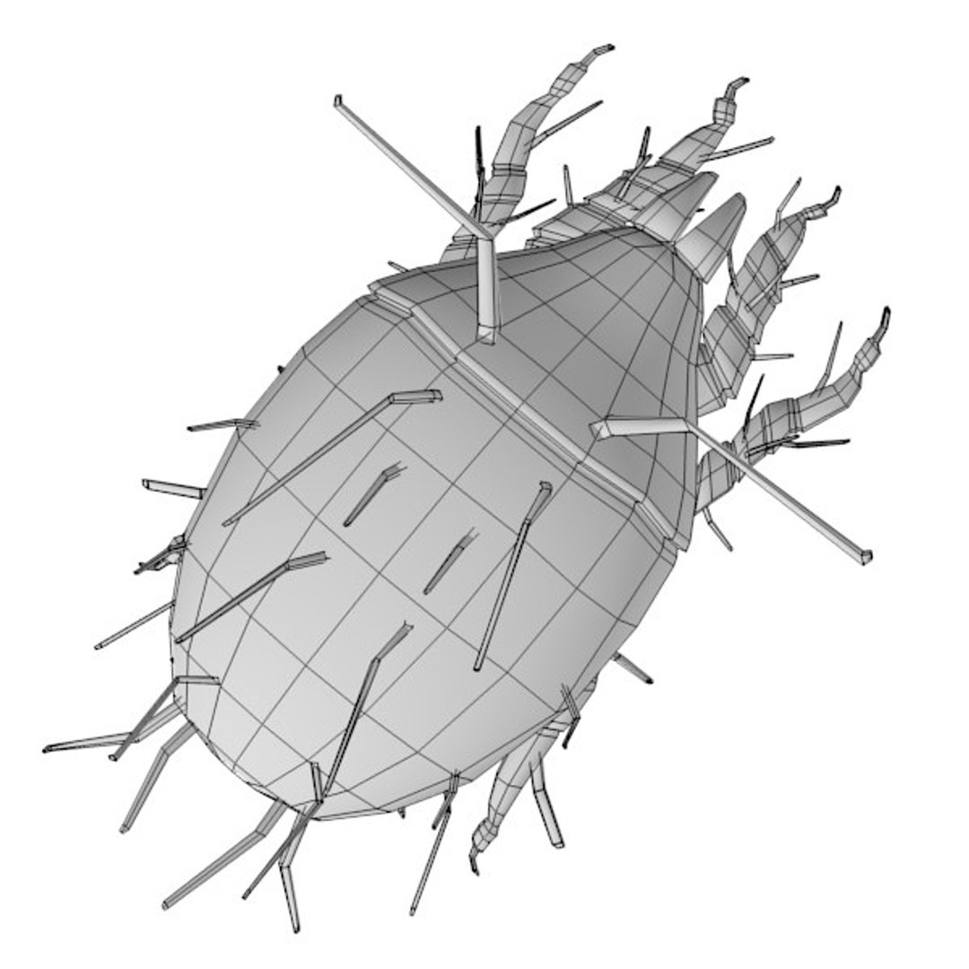 3d Model Mites