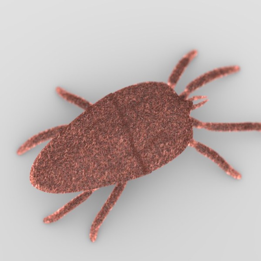 3d Model Mites