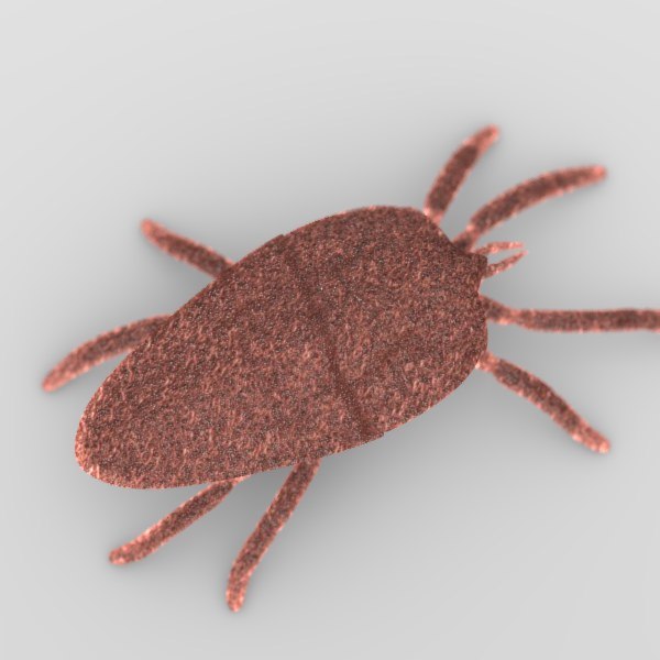 3d model mites