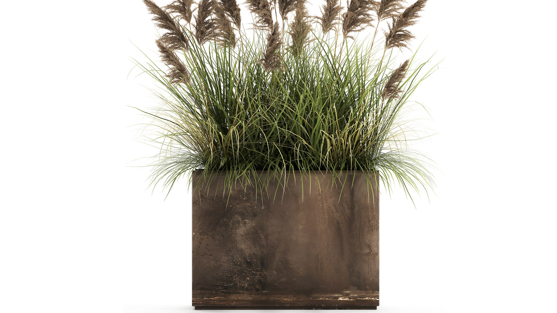 Reeds In A Rusty Flower Pot For The Interior 934 3D Model - TurboSquid ...